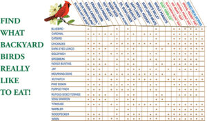 Just Getting Started - Cole's Wild Bird Products